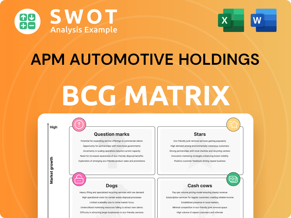 APM Automotive Holdings BCG Matrix Analysis – SWOTAnalysisExample.com