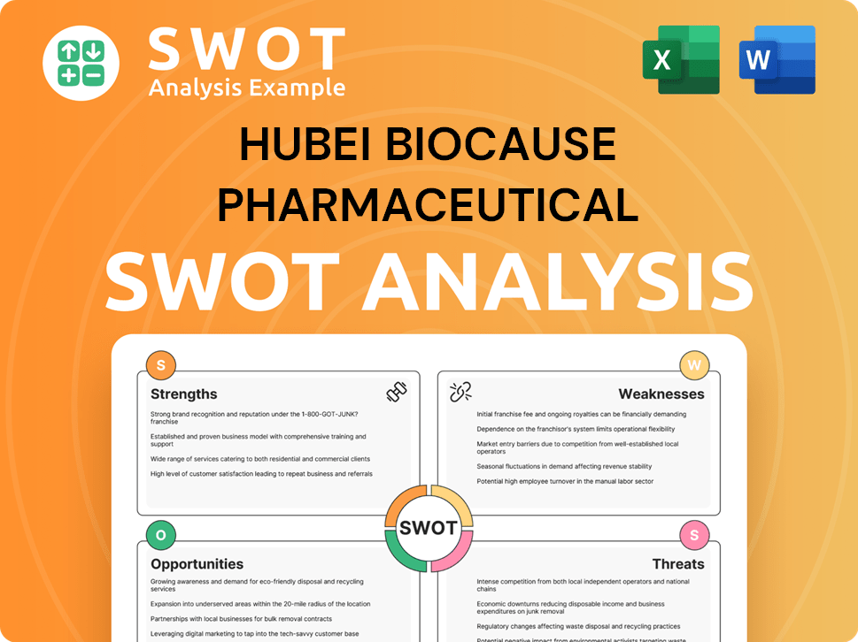 Hubei Biocause Pharmaceutical SWOT Analysis – SWOTAnalysisExample.com