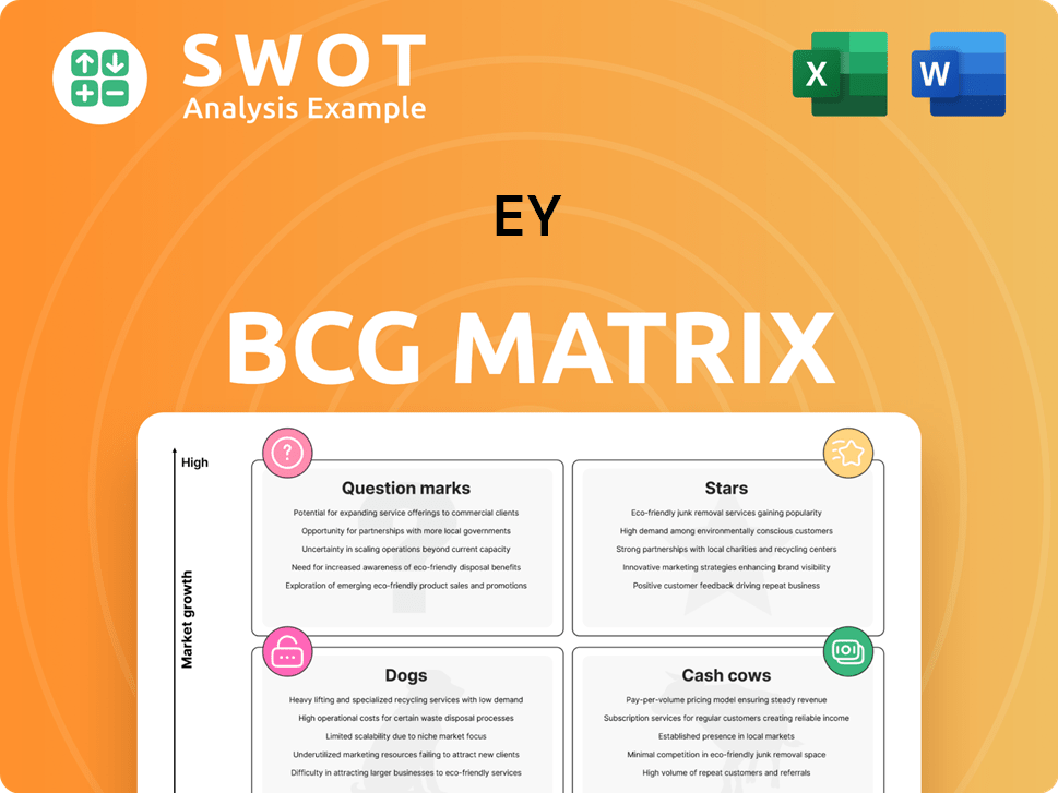 EY BCG Matrix Analysis – SWOTAnalysisExample.com