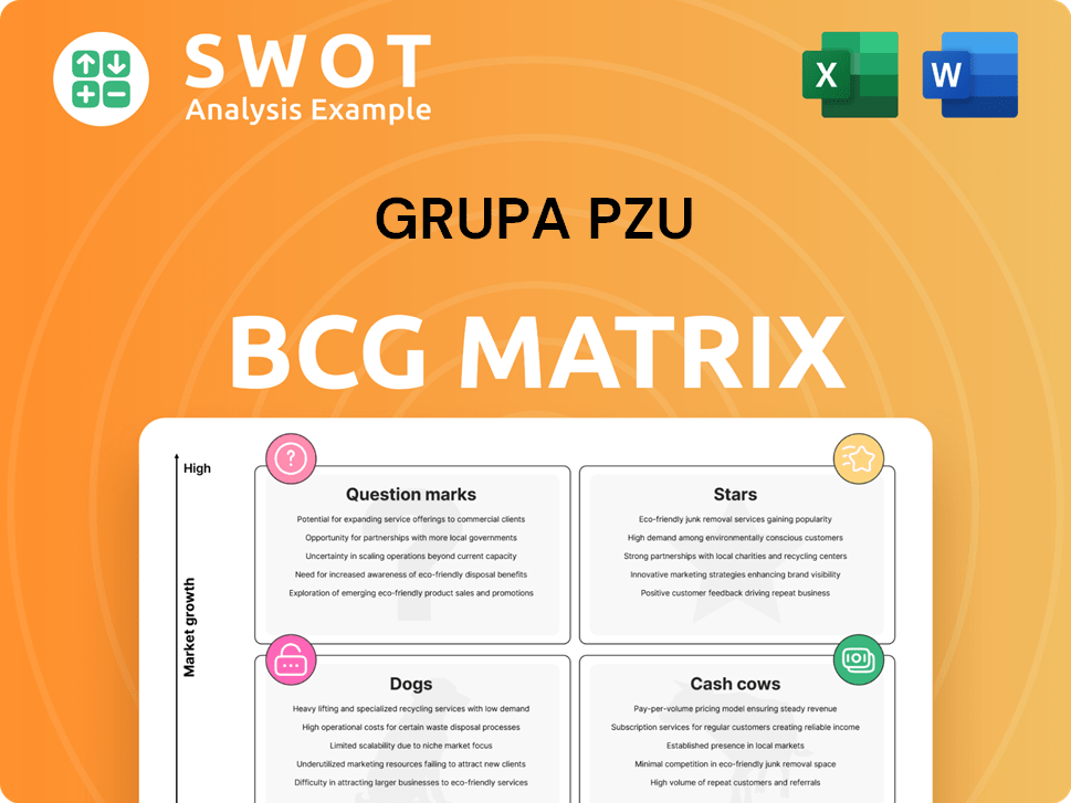 Grupa PZU BCG Matrix Analysis – SWOTAnalysisExample.com