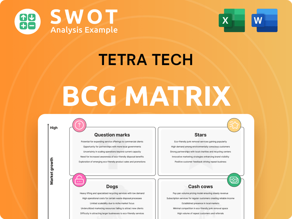 Tetra Tech BCG Matrix Analysis – SWOTAnalysisExample.com